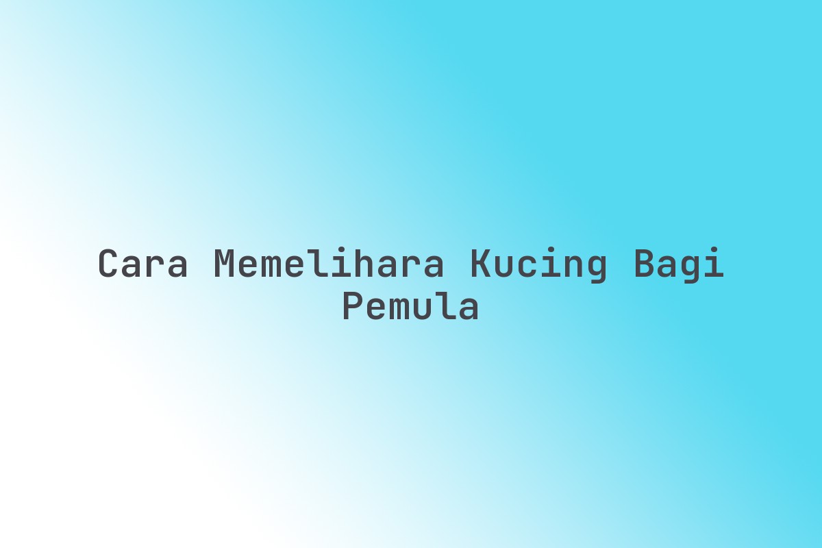Cara memelihara kucing bagi pemula - Imx Media