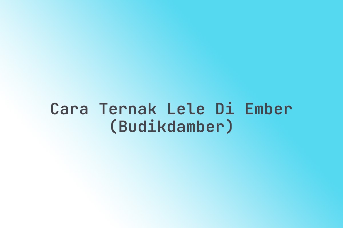 Cara ternak lele di ember (budikdamber) - Imx Media
